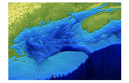 Oil Petroleum Natural Gas Industries Gasoline Oil Spill Diesel Fuel ...